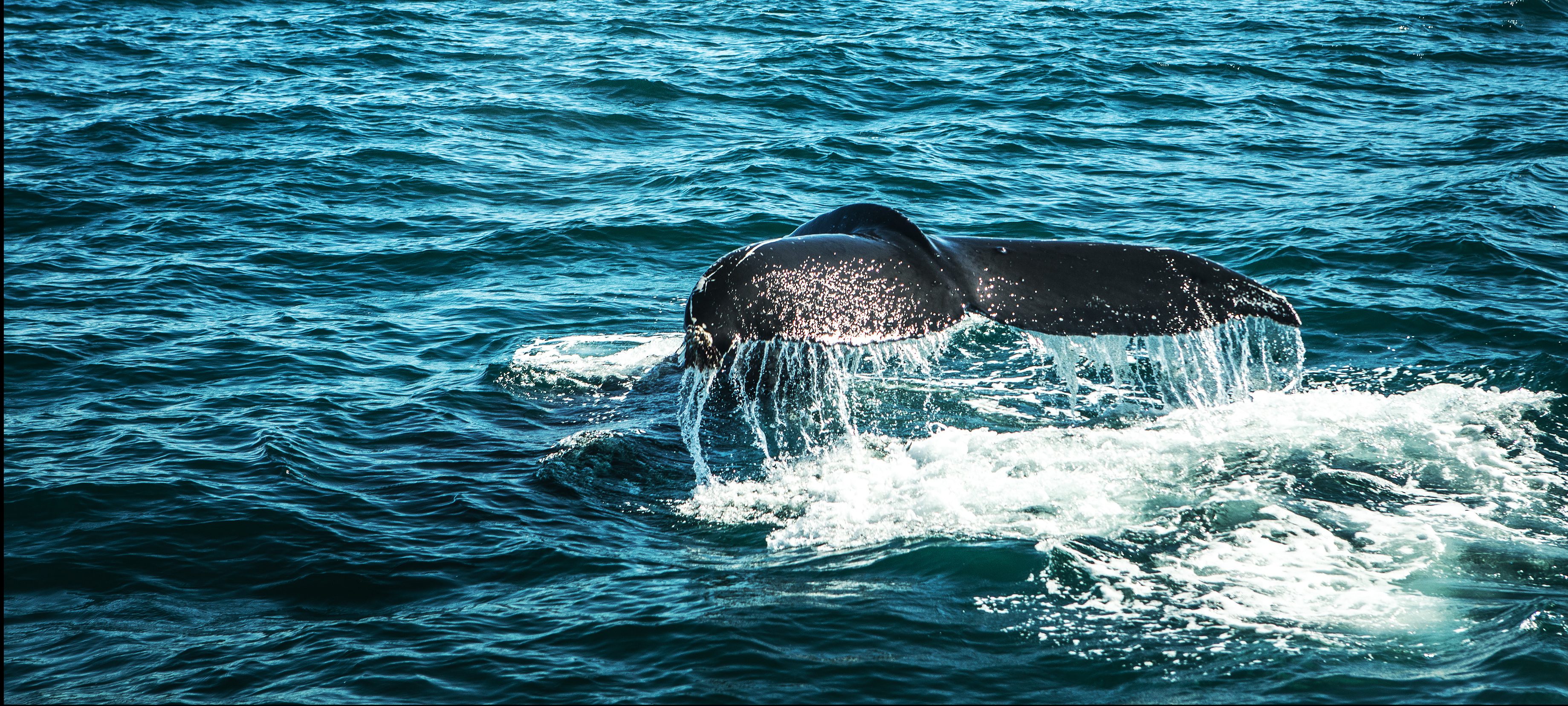 Environment - EuroFlag Services